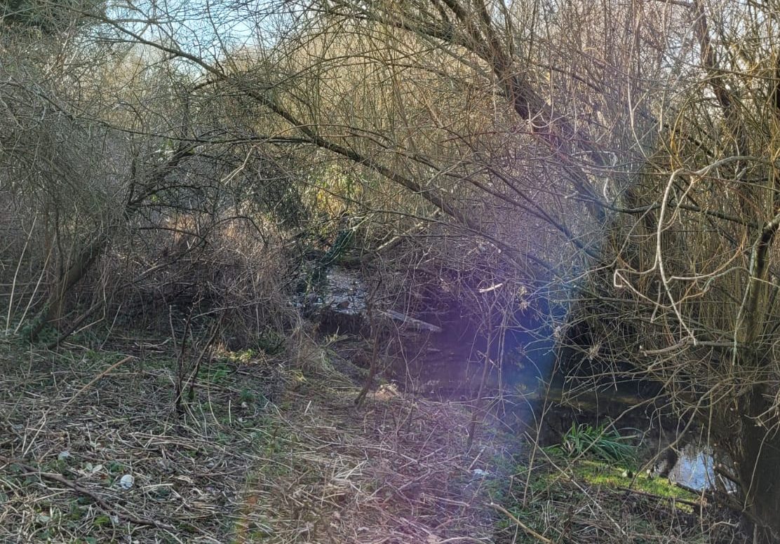 River Rea clean-up by the Friends of Rea Valley Stirchley - Birmingham ...